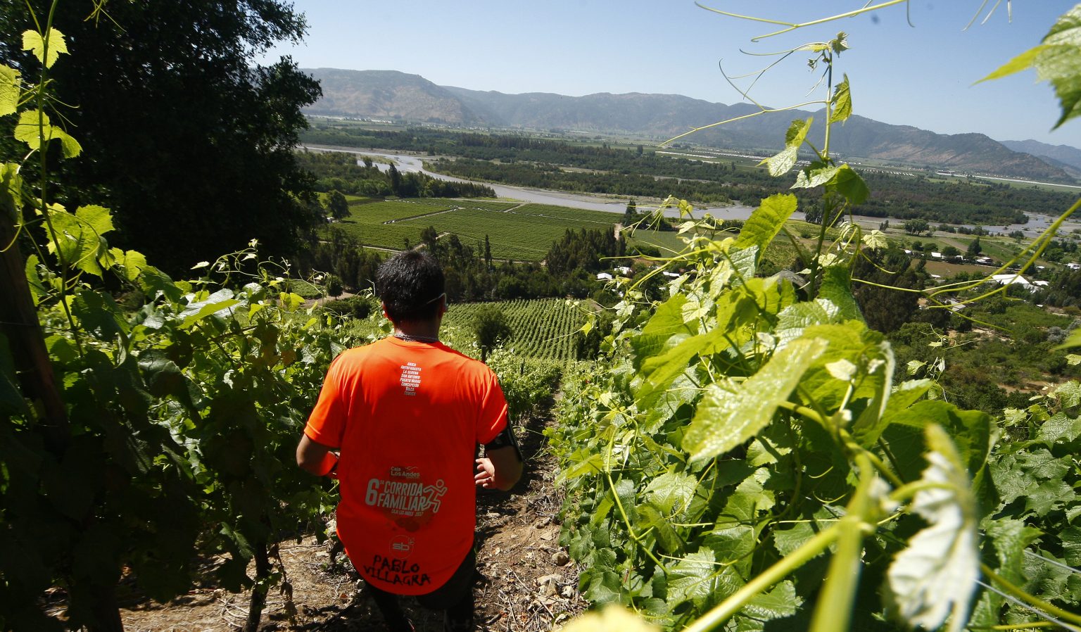 15° Trail Corriendo Entre Viñedos "PARTY EDICIÓN" - Ruta del vino ...